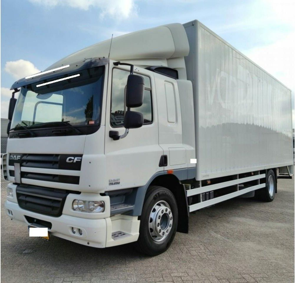 DAF CF 75.250 Sypiala Euro 5 kontener 18palet - Opinie i ceny na Ceneo.pl