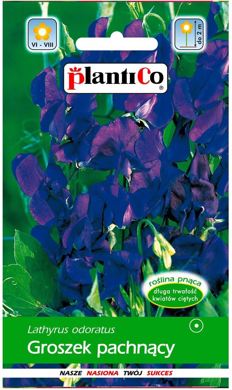 PLANTICO PLANTICO GROSZEK PACHNĄCY GRANATOWY 5901363411739 - Ceny i ...