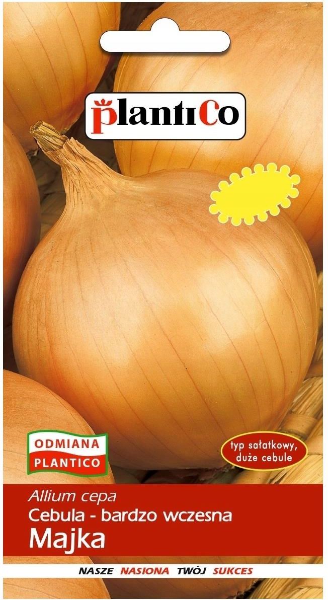 POLAN CEBULA ALLIUM CEPA MAJKA 500G NASIONA WCZESNA ...