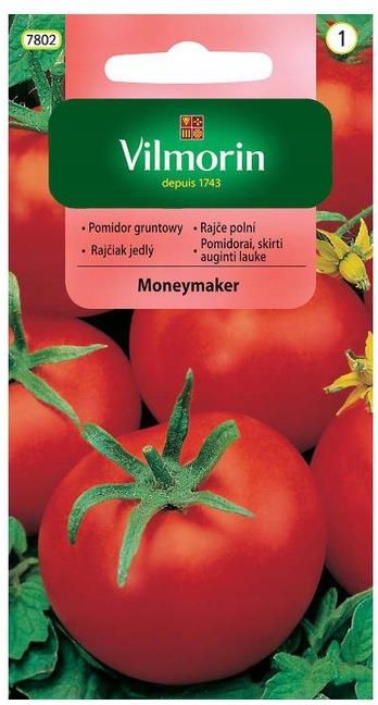 VILMORIN NASIONA POMIDORY MONEYMAKER 0,5 G 5907617304451 - Ceny i opinie - Ceneo.pl