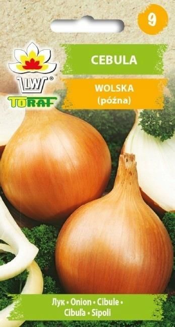 TORAF CEBULA WOLSKA NASIONA 5 G - Ceny i opinie - Ceneo.pl