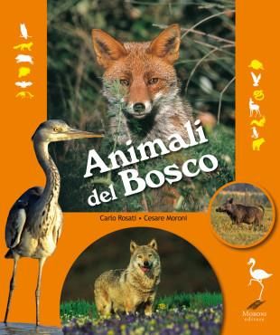 Animali del bosco - Literatura obcojęzyczna - Ceny i opinie - Ceneo.pl