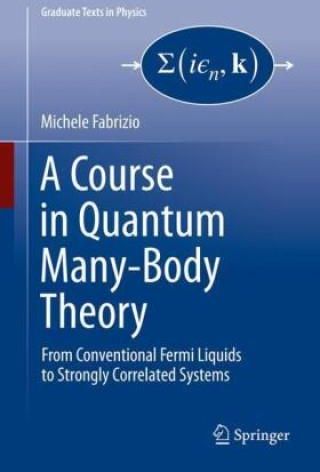 A Course in Quantum Many-Body Theory - Literatura obcojęzyczna - Ceny i ...