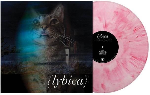 Płyta winylowa Lybica - Ceny i opinie - Ceneo.pl