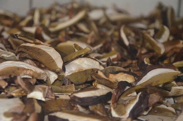 Astia Grzyby Suszone 1kg Borowiki Atest 2022 Pl - Ceny i opinie - Ceneo.pl