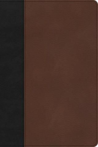 CSB Large Print Thinline Bible, Black/Brown Leathertouch - Literatura ...