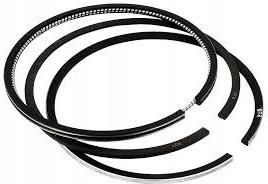 Cnh Komplet Pierścieni Tłokow Industrial 87802834 - Opinie i ceny na ...