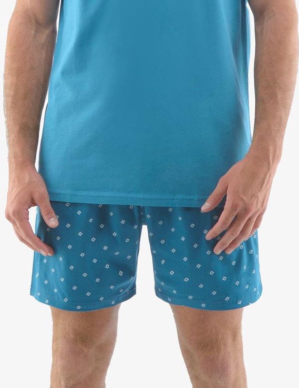 Gina 79130P kerosene-moon L - Ceny i opinie - Ceneo.pl