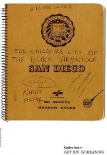 Kathy Acker. Get Rid Of Meaning - Literatura obcojęzyczna - Ceny i ...