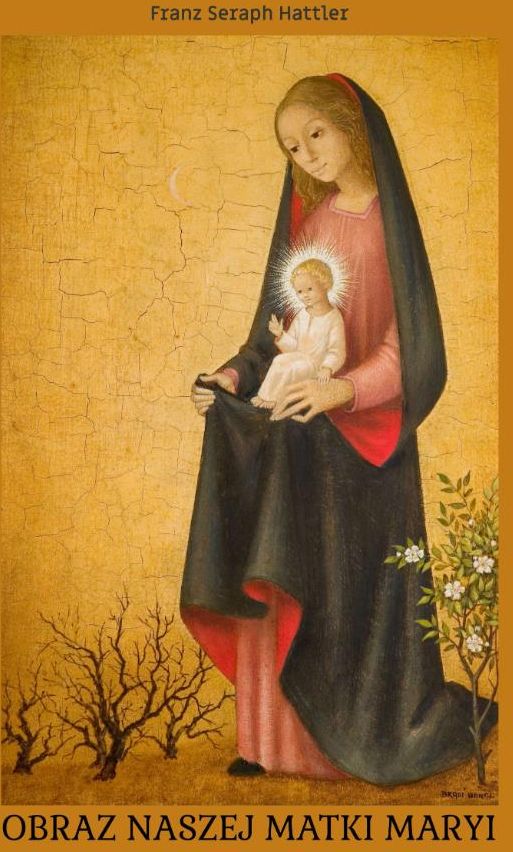 Obraz naszej Matki Maryi - Książka religijna - Ceny i opinie - Ceneo.pl