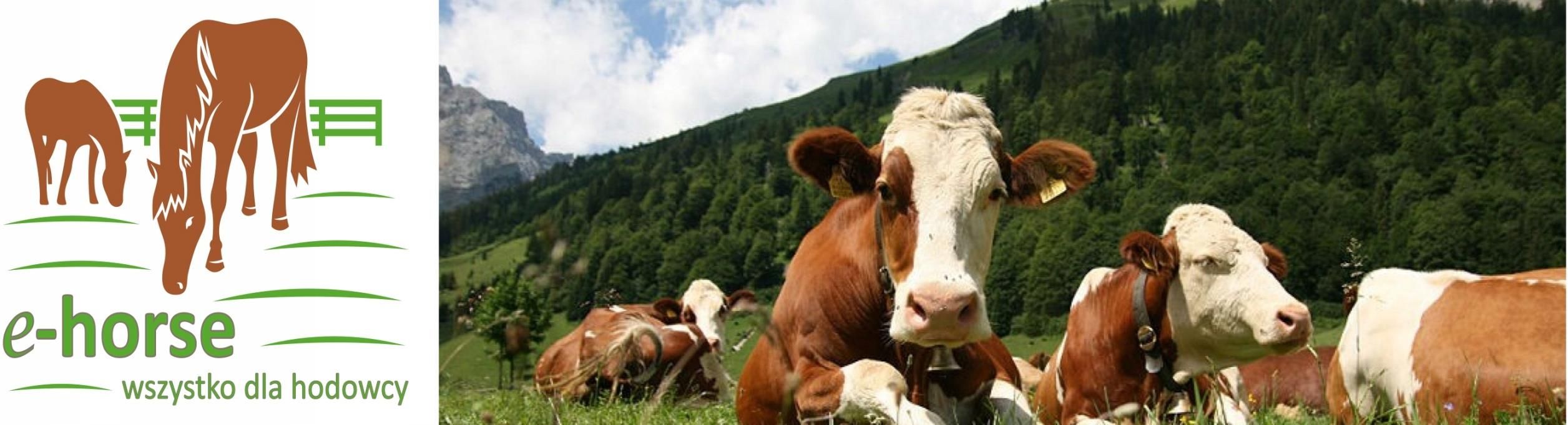 Kleszcze porodowe położnicze dla macior 52 cm - Ceny i opinie - Ceneo.pl