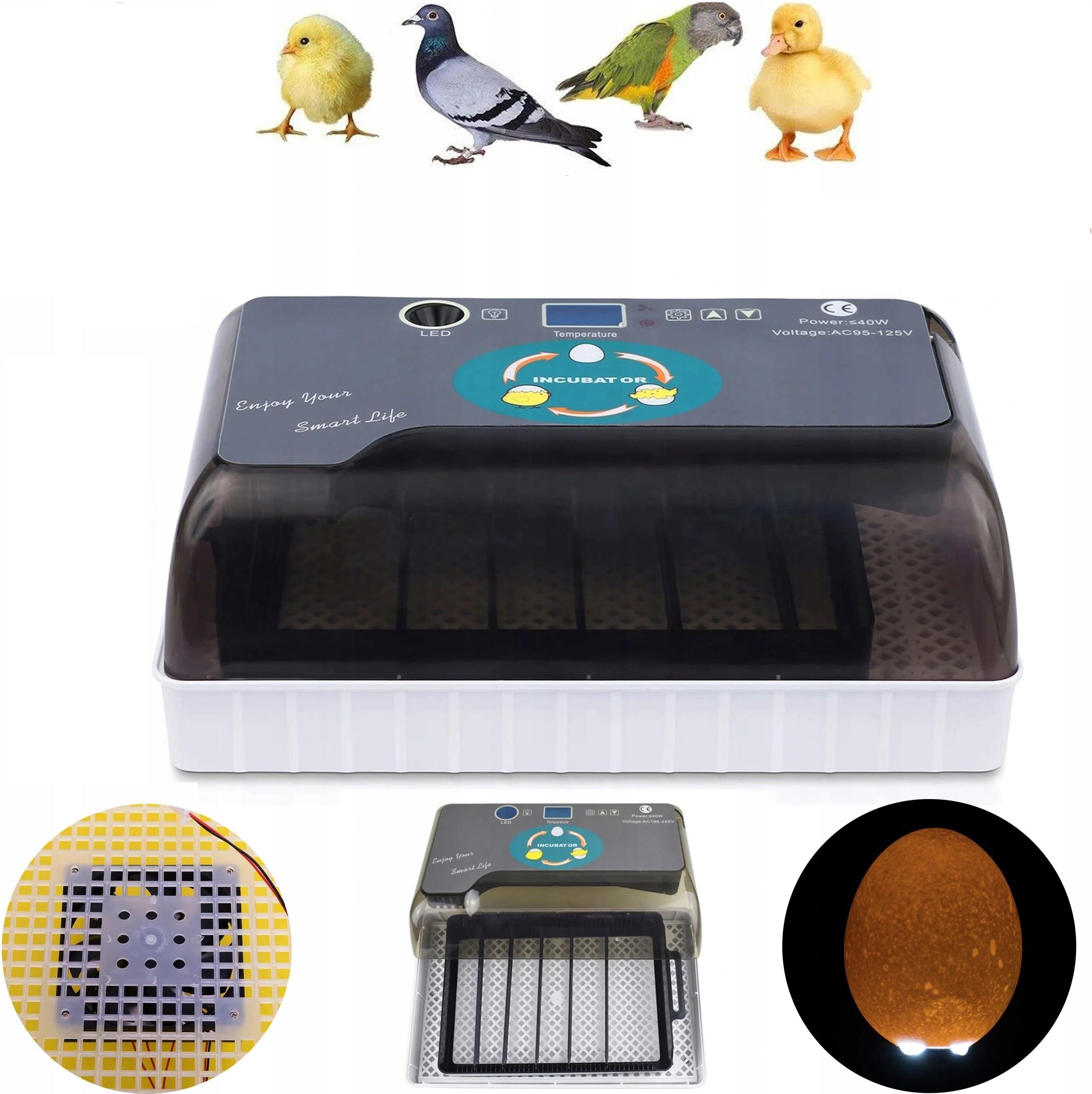 Brother Inkubator Na Jaja Wylęgarka 12Jaj Elektryczny 536 - ceny i opinie - Ceneo.pl