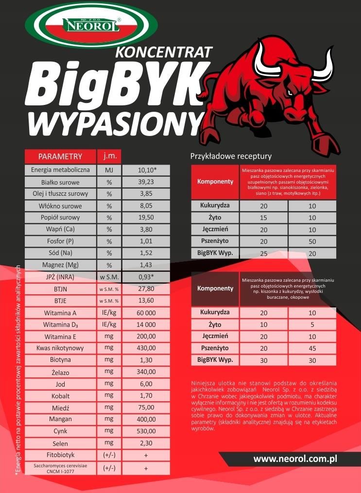 Big-byk Wypasiony koncentrat dla byków 25kg Neorol - Ceny i opinie - Ceneo.pl