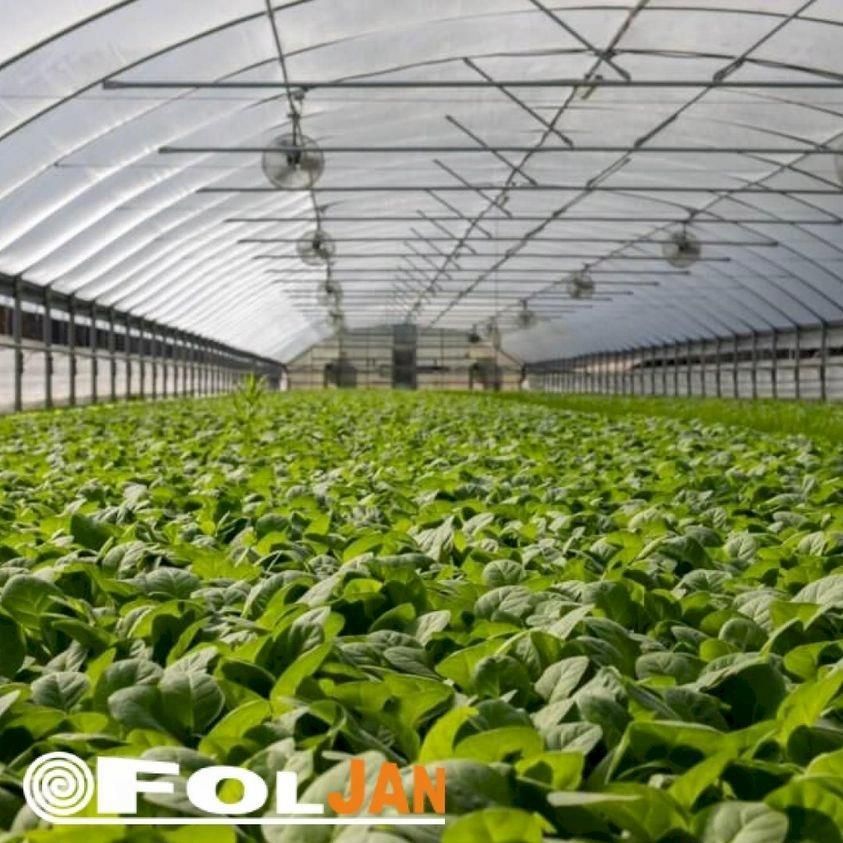 Folia Ogrodnicza Tunelowa UV4 6M Cena Za 1MB! - Ceny i opinie - Ceneo.pl