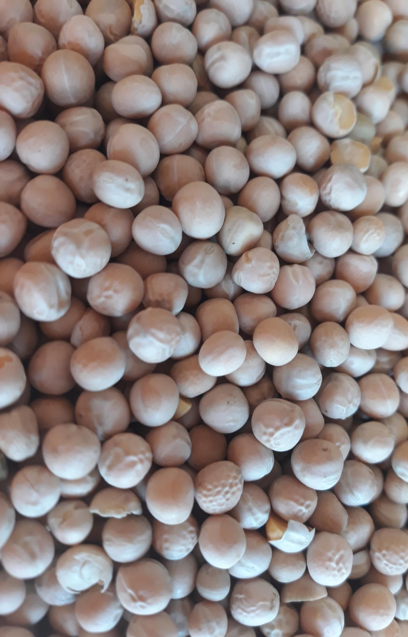 Groch Żółty Cały Niełuskany 5 Kg - Ceny i opinie - Ceneo.pl