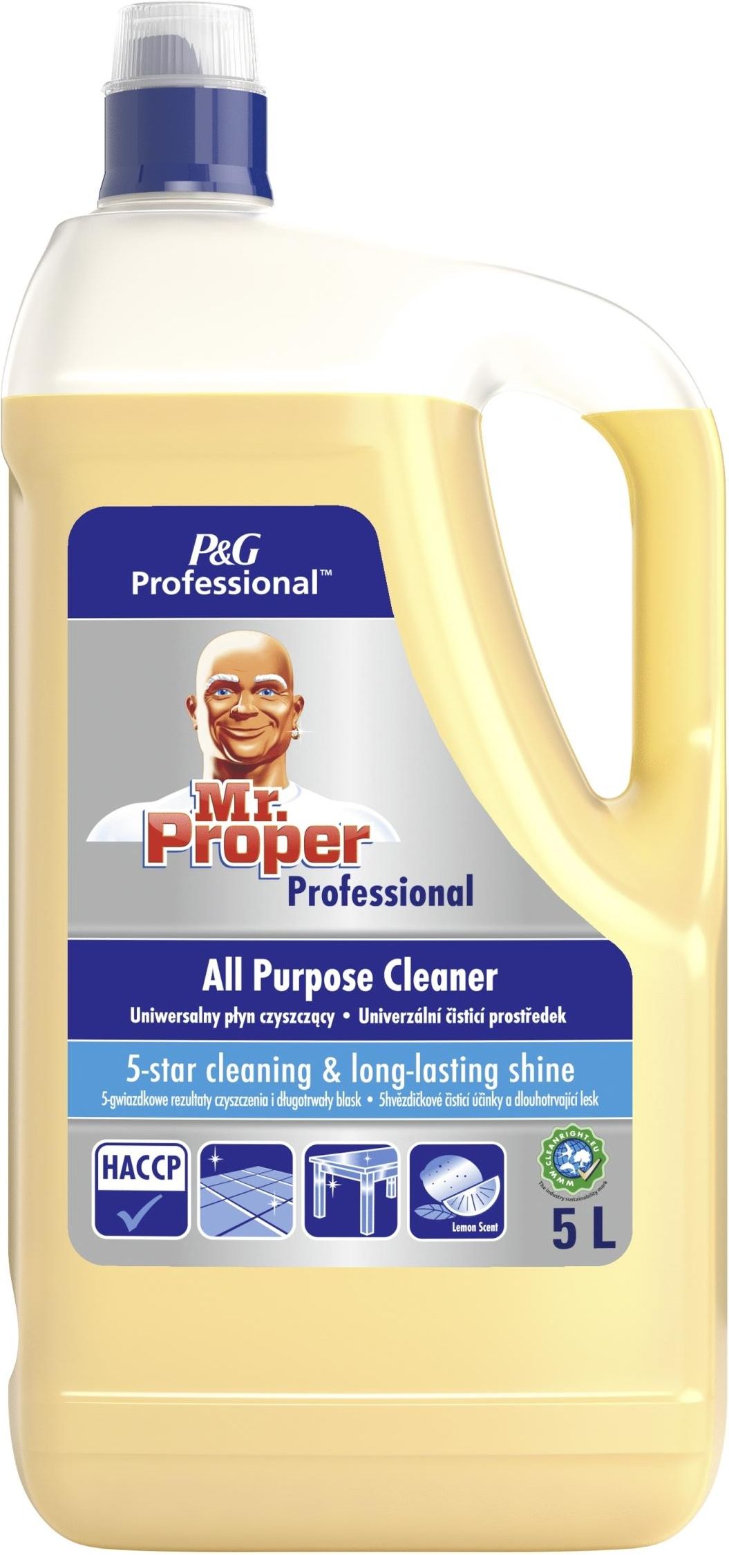 Mr. Proper Hit! 3 X Mr.Proper Professional 5L - Opinie i atrakcyjne ...