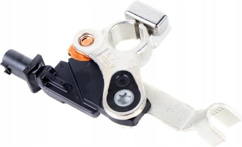 Citroen Oe Klema Minusowa Bezpiecznik C5 Iii 9815524580 0199200133 ...