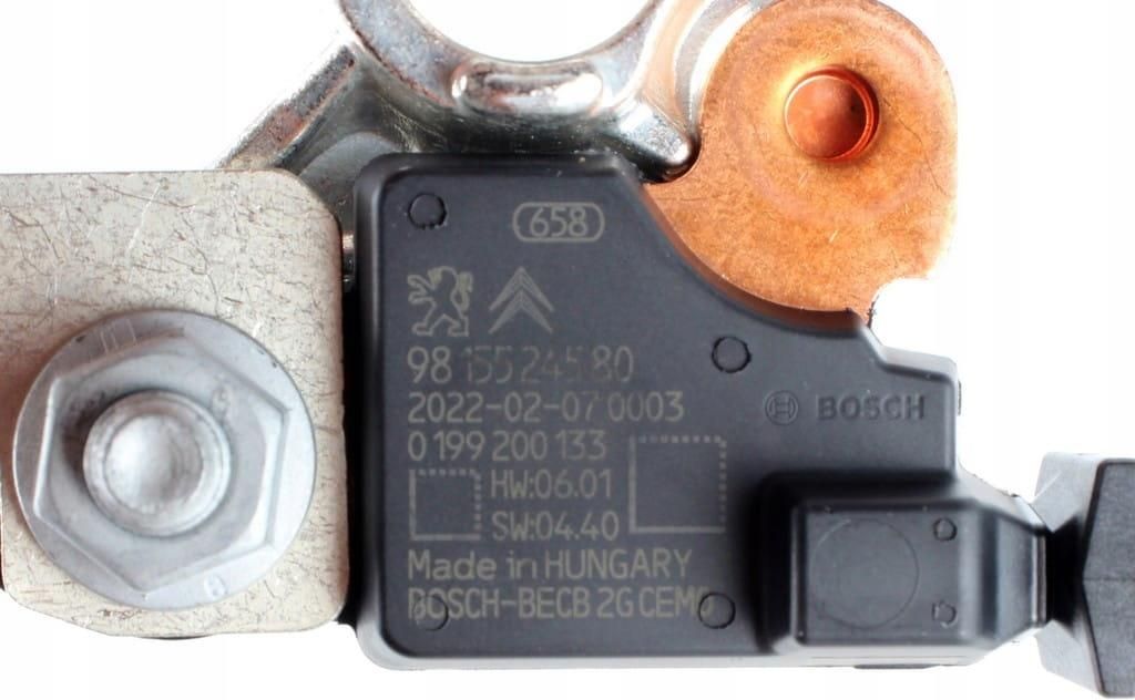 Citroen Oe Klema Minusowa Bezpiecznik C5 Iii 9815524580 0199200133 ...