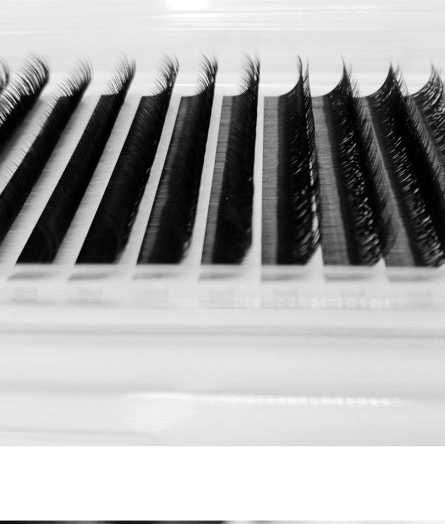 Rzęsy Double Layer MIX 2D-3D-BD-0,10 (SLH1031) - Opinie i ceny na Ceneo.pl