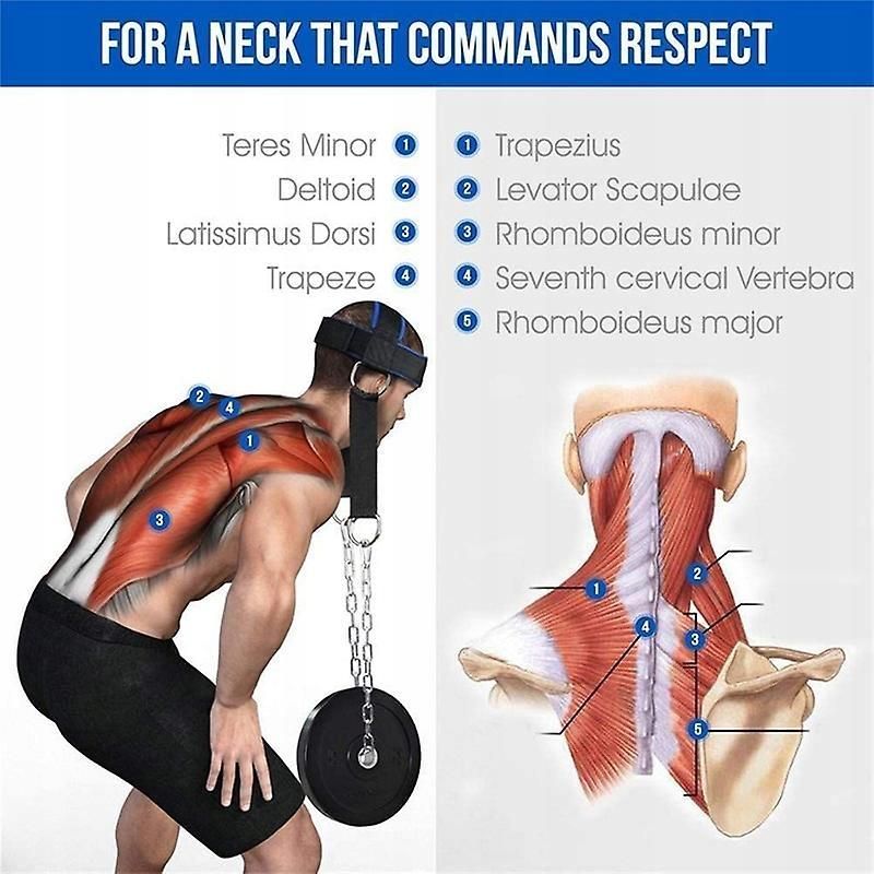 No Brand Head Neck Training Harness Body Strengh - Opinie i ceny na ...