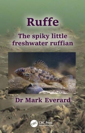 Ruffe Everard, Mark (University of the West of England, UK ...