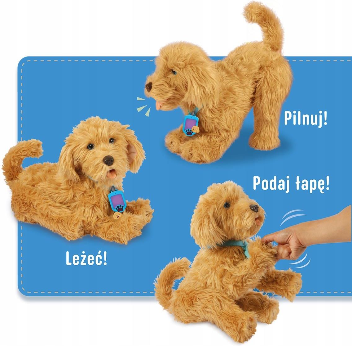 Epee Pies Piksel Interaktywny 150+ Reakcji - Ceny i opinie - Ceneo.pl