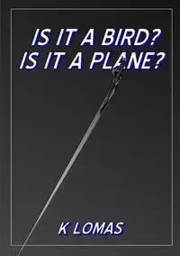 IS IT A BIRD? IS IT A PLANE? - Kevin Lomas - Literatura obcojęzyczna ...