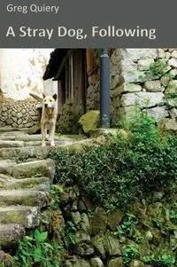 A Stray Dog, Following - Greg Quiery - Literatura obcojęzyczna - Ceny i ...