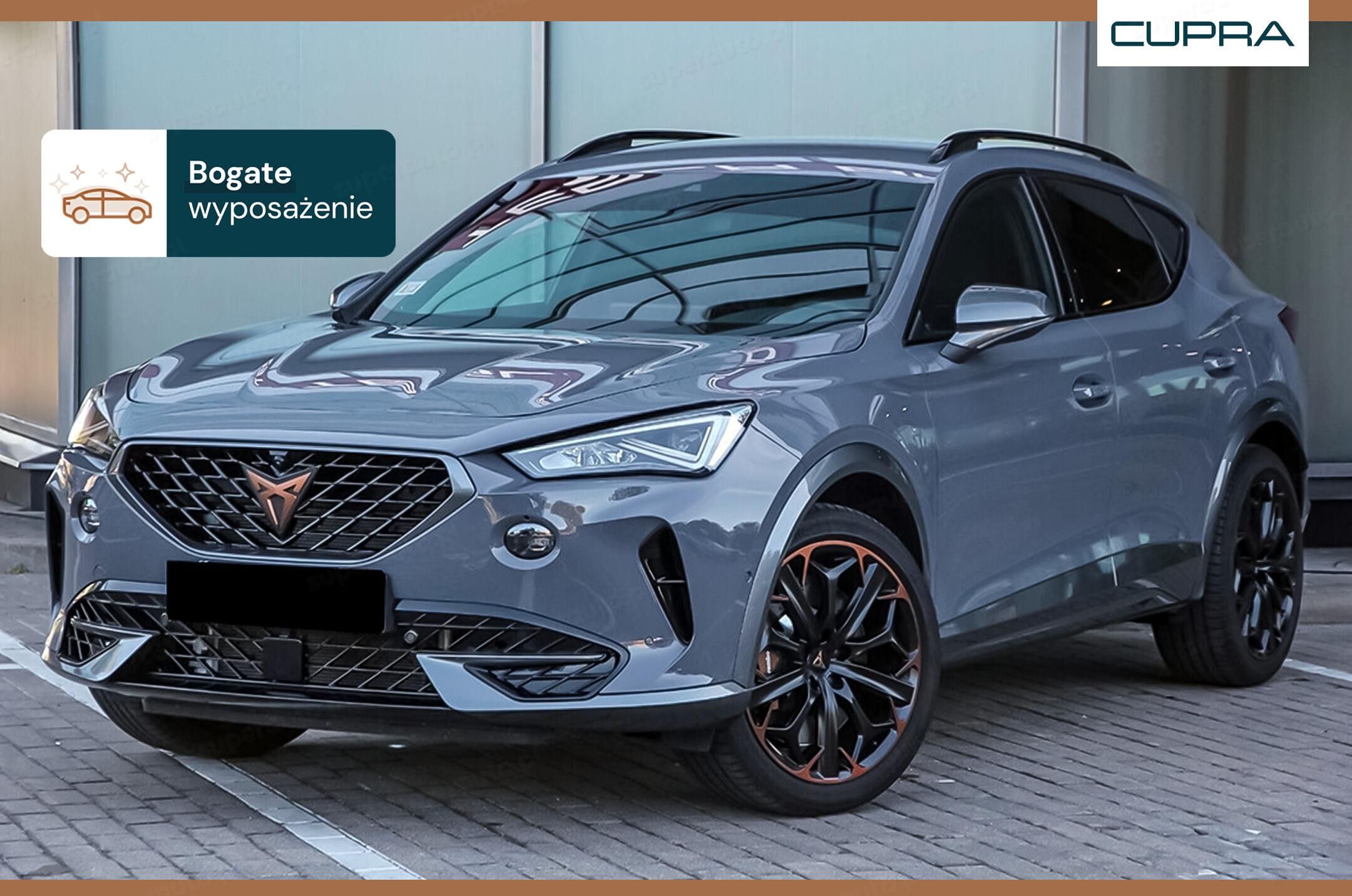 Cupra Formentor VZ 2.0 TSI 310KM DSG 4Drive - Opinie i ceny na Ceneo.pl