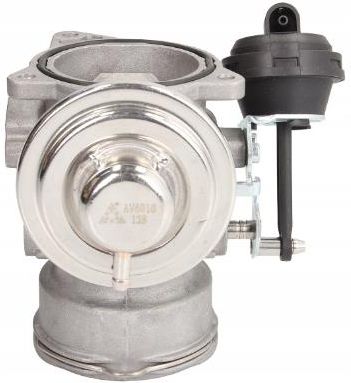 Srl Transporter V Sharan Passat B5 Audi A4B6 Zawór Egr SE07-0047 ...