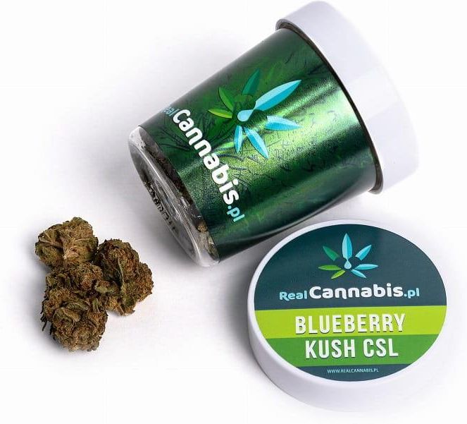 Preparat medycyny naturalnej Real Cannabis Susz Konopny Cbd Blueberry ...