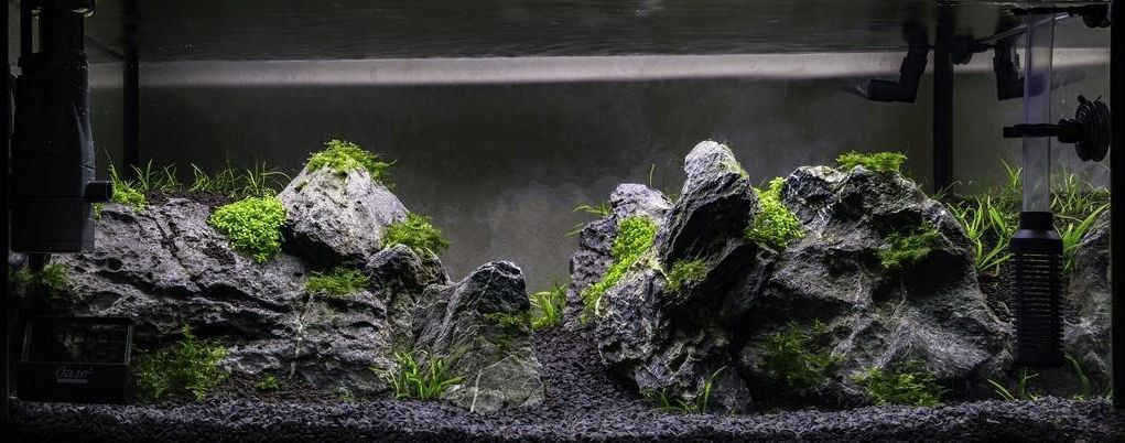 Td Stones Td Stones Td Stones Td Stones 24Kg Czarny Żwirek Do Akwarium ...