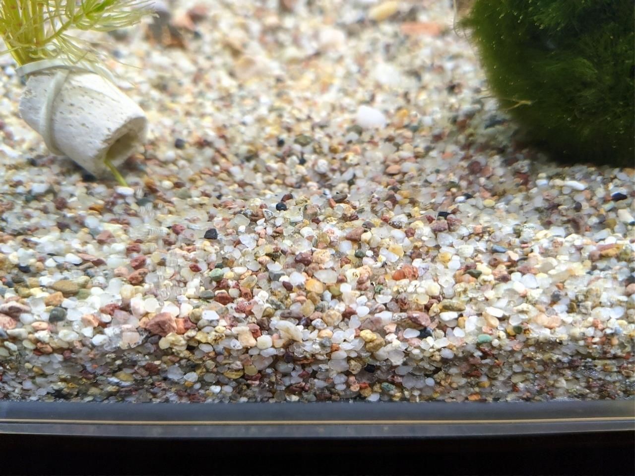 TD STONES TD STONES TD STONES TD STONES 4KG ŻWIREK KWARCOWY DO AKWARIUM ...