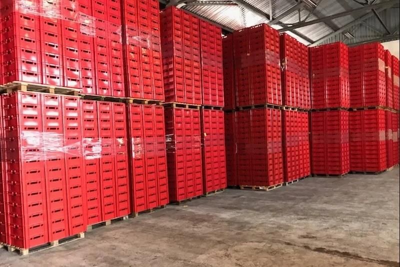 Influid24 Pojemnik Euro E2 - Opinie i ceny na Ceneo.pl