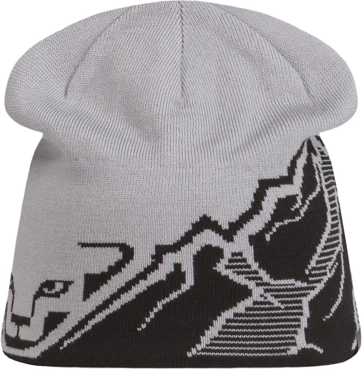 Czapka DYNAFIT GRAPHIC BEANIE - Ceny i opinie - Ceneo.pl