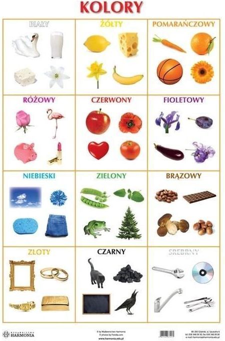 Plansze Edukacyjne Kolory A5 (11 Plansz) - ceny i opinie - Ceneo.pl