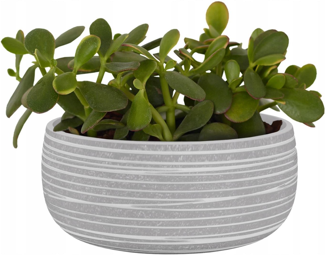 Szara Misa Doniczka Doris B. 29/14 Popiel Ceramika - Ceny i opinie ...