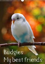 Budgies - my best friends (Wall Calendar 2023 DIN A3 Portrait ...