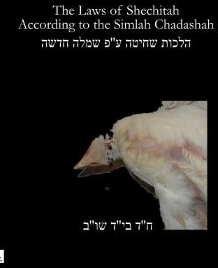 Soft Cover Simlah Translated - Literatura obcojęzyczna - Ceny i opinie ...