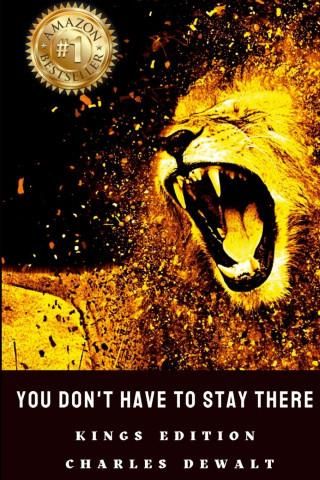 You Don't Have to Stay There - Charles DeWalt - Literatura obcojęzyczna ...