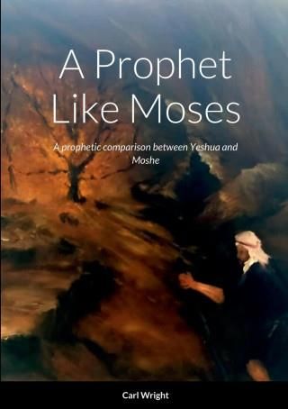 A Prophet Like Moses - Literatura obcojęzyczna - Ceny i opinie - Ceneo.pl