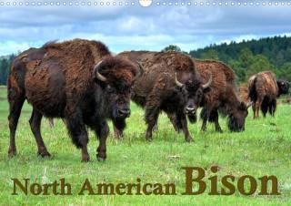 North American Bison (Wall Calendar 2023 DIN A3 Landscape) - Literatura ...