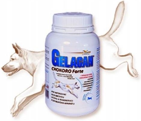 ORLING GELACAN CHONDRO FORTE 150G KOŚCI I STAWY 8594004694140 - Ceny i ...