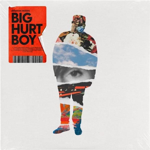 Płyta kompaktowa Donovan Woods: Big Hurt Boy [CD] - Ceny i opinie ...