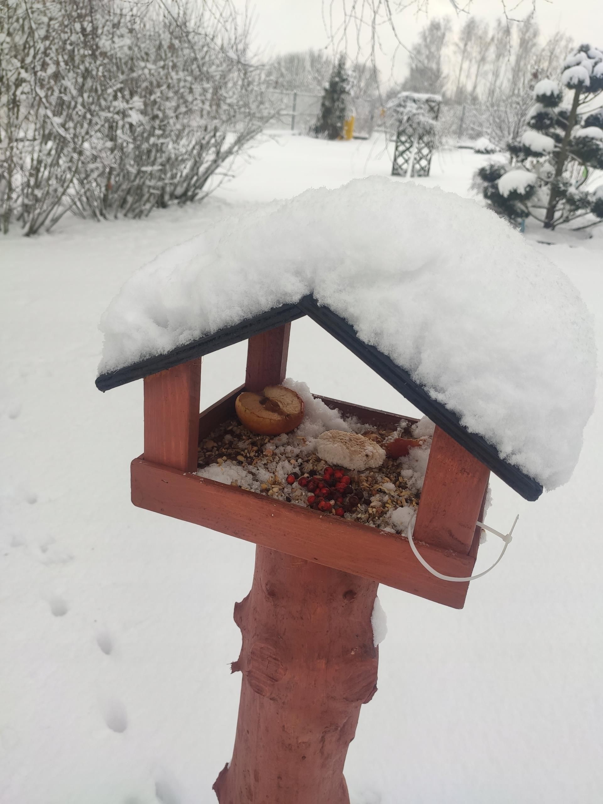 DORA-ZOO KARMNIK DLA PTAKÓW ZIMUJĄCYCH KP-1 KP1 - Ceny i opinie - Ceneo.pl