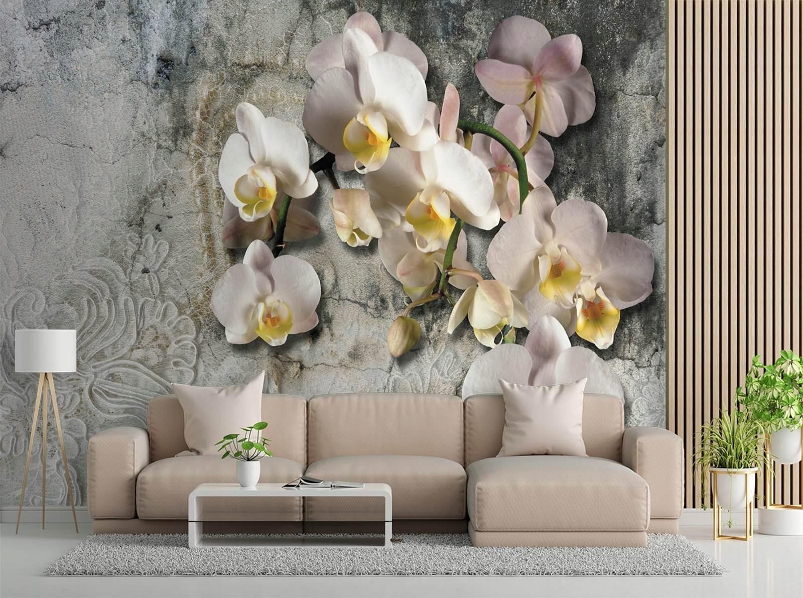 FEEBY (TOP) FOTOTAPETA KWITNĄCA ORCHIDEA NA TLE ŚCIANY 300X210 - Opinie ...