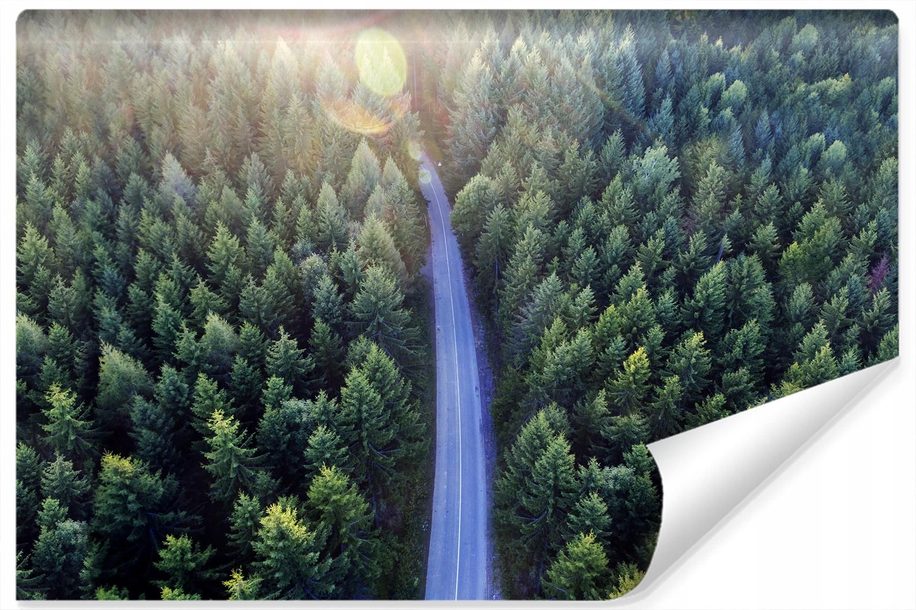 MURALO (TOP) FOTOTAPETA ULICA LAS WIDOK Z LOTU PTAKA 3D 180X120 ...