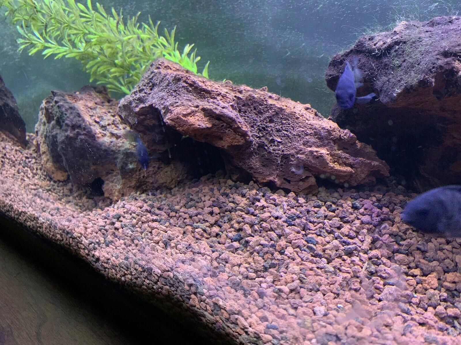 TD STONES 16KG ŻWIR WULKANICZNY PODŁOŻE DO AKWARIUM 5-10MM - Ceny i ...