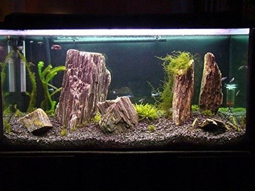 TD STONES TD STONES 4KG PODŁOŻE DO AKWARIUM CZARNY 2-3MM - Ceny i ...
