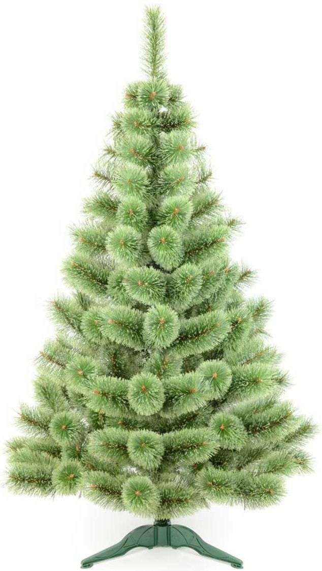 CHOINKA ŻYŁKA KLARA 180cm - Opinie i atrakcyjne ceny na Ceneo.pl